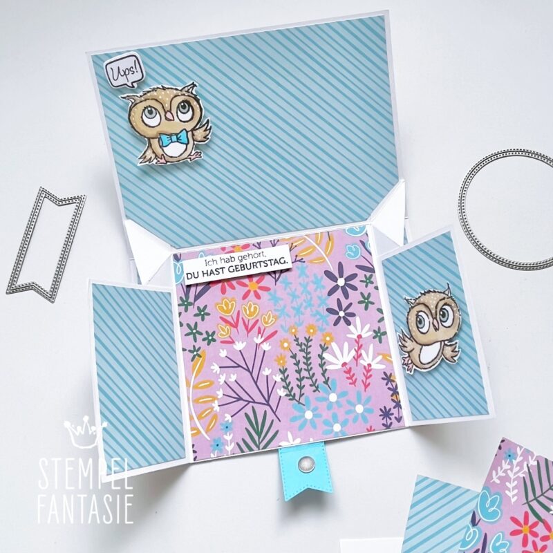 Dual-Pop-Up-Card mit den zauberhaften Eulen - Stempelfantasie ...